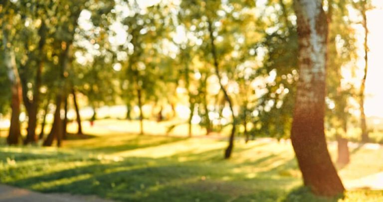 Axena Health’s Leva® Pelvic Health System Now Available to Female ...